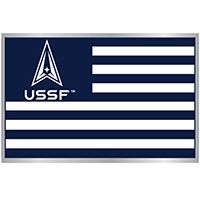 U.S. SPACE FORCE PIN- FLAG – The Surplus Guy